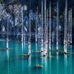 Charyn Canyon, Kolsay & Kayndy lakes - Why This Tour Offers Great Value