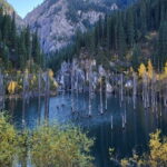 Charyn Kolsay Kaindy Private Tour - Transportation & Logistics