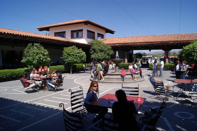 Cheese and Wine Route Tour with starting from Querétaro - What’s Included and What to Budget For