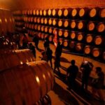 Cheese and Wine Route with 2 Towns, starting from Querétaro - Exploring the Itinerary in Detail