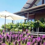 Cheese + Chill - The Real Value for Travelers