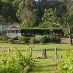 Chef-Led Hunter Valley Gourmet Food and Wine Day Tour from Sydney - Practical Details to Keep in Mind
