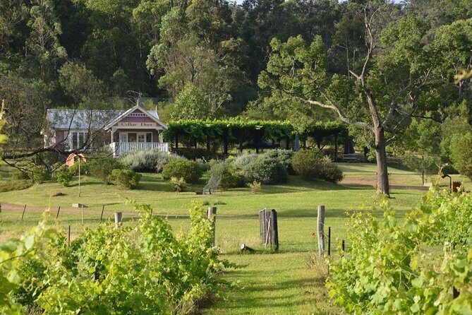 Chef-Led Hunter Valley Gourmet Food and Wine Day Tour from Sydney - Practical Details to Keep in Mind