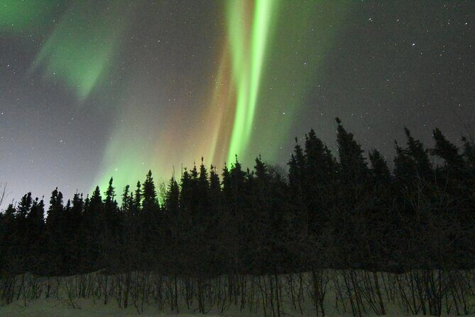 Chena Hot Springs Northern Lights Aurora Borealis From Fairbanks - A Deep Dive into the Tour Experience