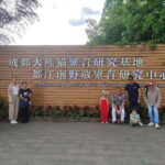 Chengdu: 3-Day Panda Base, Giant Buddha, and Ancient Town - Authenticity and Unique Experiences