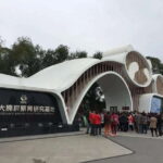 Chengdu: Panda Base Tour/Ticket Only Option - A Closer Look at the Experience