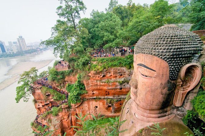 Chengdu Panda & Giant Buddha Day Tour With Private Transfer - Chengdu Panda & Giant Buddha Day Tour With Private Transfer Review