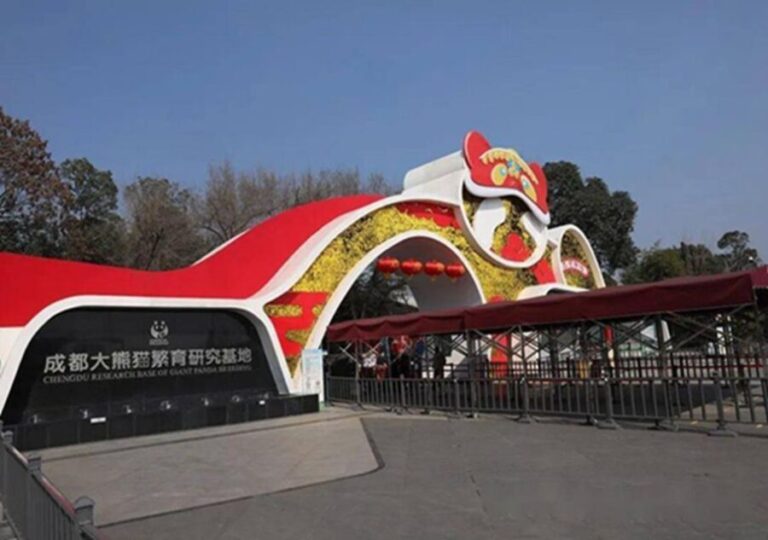 Chengdu panda & Leshan Buddha One Day Private Tour - Practical Considerations & Value