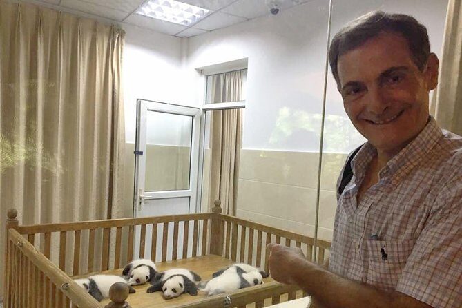 Chengdu Private Sightseeing Tour with Panda Breeding Center Visit - An In-Depth Review of the Chengdu Experience