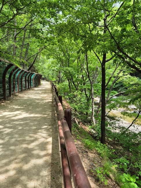Cheongsong UNESCO GEO Park Hike From Andong - What Makes This Tour Special