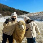 [Cherry blossom]Gyeongju Tour from SEOUL transfer to BUSAN - Authentic Experiences and Surrounding Reviews