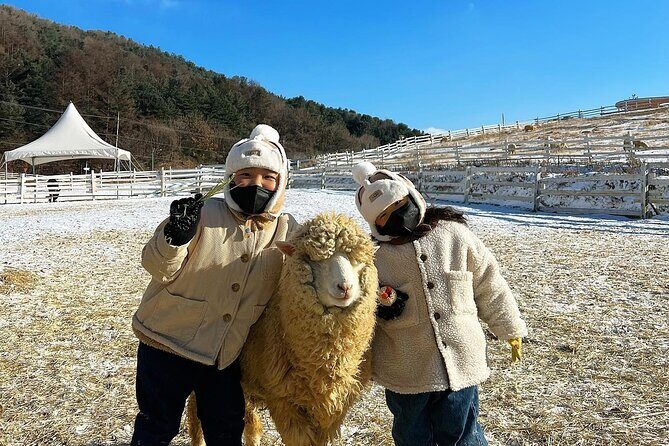 [Cherry blossom]Gyeongju Tour from SEOUL transfer to BUSAN - Authentic Experiences and Surrounding Reviews