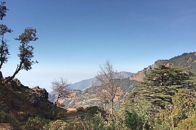 Chhaskhet Nature Walk - What You Need to Know