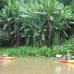 Chiang Mai: 15 km Leisure River Kayaking at Mae Ngat forest - Who Is This Tour Best For?
