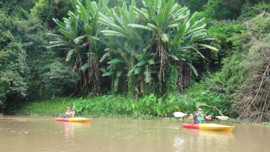 Chiang Mai: 15 km Leisure River Kayaking at Mae Ngat forest - Who Is This Tour Best For?