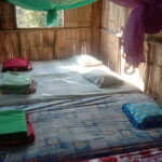 Chiang Mai 2 to 3 Day Adventure Hill Tribes Elephants and River - Who Will Appreciate This Tour?