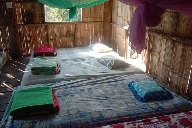 Chiang Mai 2 to 3 Day Adventure Hill Tribes Elephants and River - Who Will Appreciate This Tour?