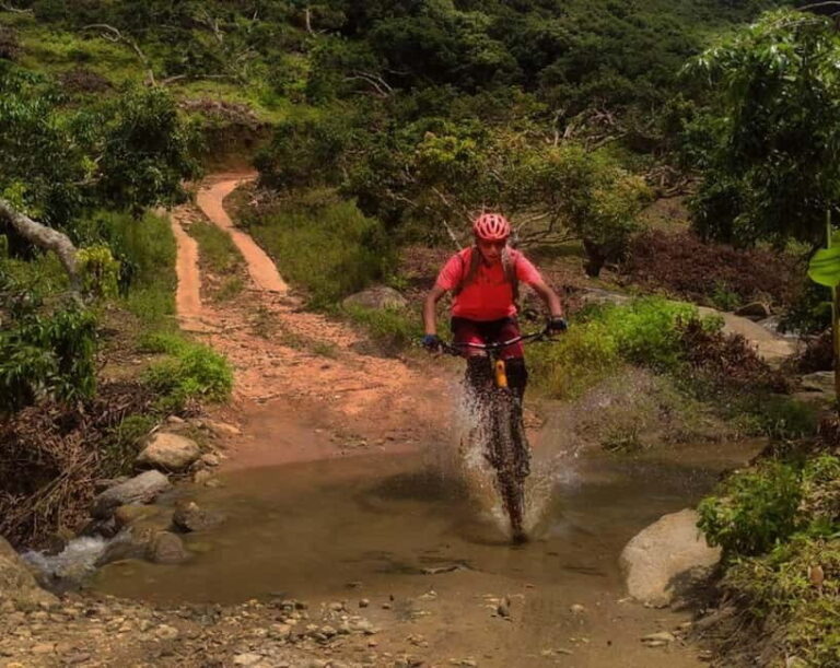 Chiang Mai: 20km Downhill Mountain Biking Challenge Suthep M - What’s Included and What to Keep in Mind