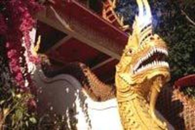 Chiang Mai Airport Departure  Private Transfer from Hotel to Airport - Who Will Love This Service?