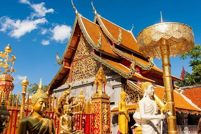 Chiang Mai City, Wat Doi Suthep, Wat Chedi Luang and Wat Pha Lat - Practical Aspects and What to Expect