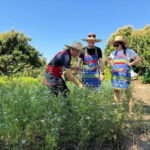 Chiang Mai : Cook in Farm, Market tour & Go by a Local Train - Exploring the Itinerary in Detail