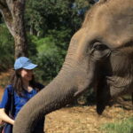 Chiang Mai: Doi Inthanon Hiking Tour & Elephant Care Program - Authenticity and Value for Money