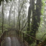 Chiang Mai: Doi Inthanon National Park and Kew Mae Pan Tour - Authentic Experiences and Visitor Feedback