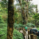 Chiang Mai: Doi Inthanon National Park Eco-Friendly Tour - Price and Value: Does It Justify the Cost?
