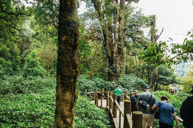 Chiang Mai: Doi Inthanon National Park Eco-Friendly Tour - Price and Value: Does It Justify the Cost?