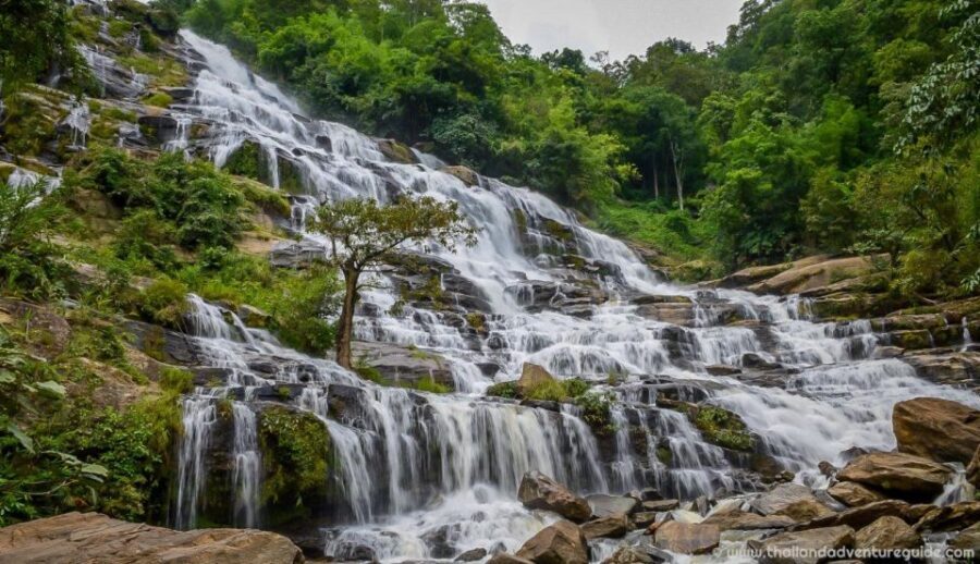 Chiang Mai: Doi Inthanon, Waterfalls, & Tribal Villages Tour - What Travelers Say: The Honest Reviews