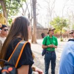 Chiang Mai: Doi Suthep and Wat Umong Enchanting Evening Tour - Authentic Insights from Travelers