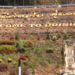 Chiang Mai: Doi Suthep National Park Leisure Hiking & Biking - Mountain Biking Down Doi Suthep