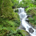 Chiang Mai: Doi Suthep Temple and Waterfall by Songtaew Trio - The Sum Up