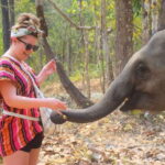 Chiang Mai: Elephant Feeding Experience - Key Points