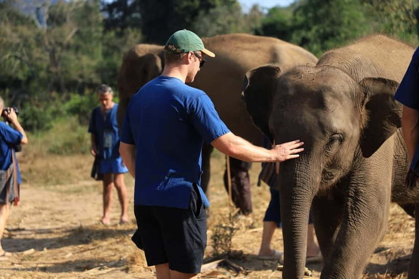 Chiang Mai: Elephant Sanctuary & Bamboo Rafting - Who Will Love This Tour?