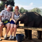 Chiang Mai: Elephant Sanctuary Feeding Program Half-Day Tour - Breakdown of the Itinerary