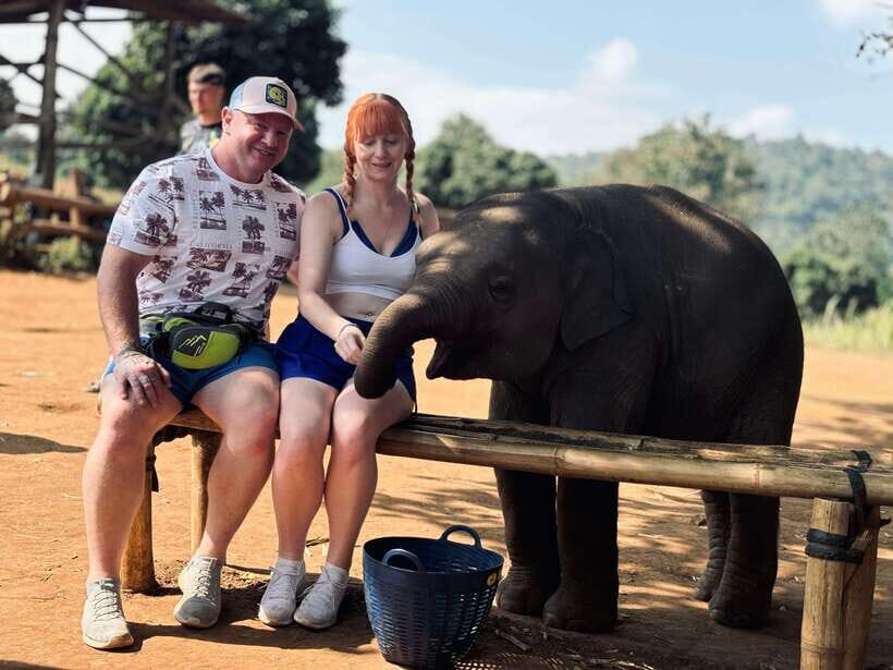 Chiang Mai: Elephant Sanctuary Feeding Program Half-Day Tour - Breakdown of the Itinerary