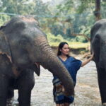 Chiang Mai: Elephant Sanctuary, Long Neck & Sticky Waterfall - Deep Dive: Why This Tour Is Worth It