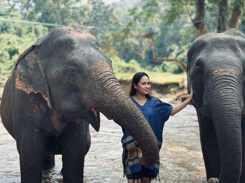 Chiang Mai: Elephant Sanctuary, Long Neck & Sticky Waterfall - Deep Dive: Why This Tour Is Worth It