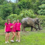 Chiang Mai Elephant Sanctuary Observation and Bamboo Rafting - Practical Details and What to Expect