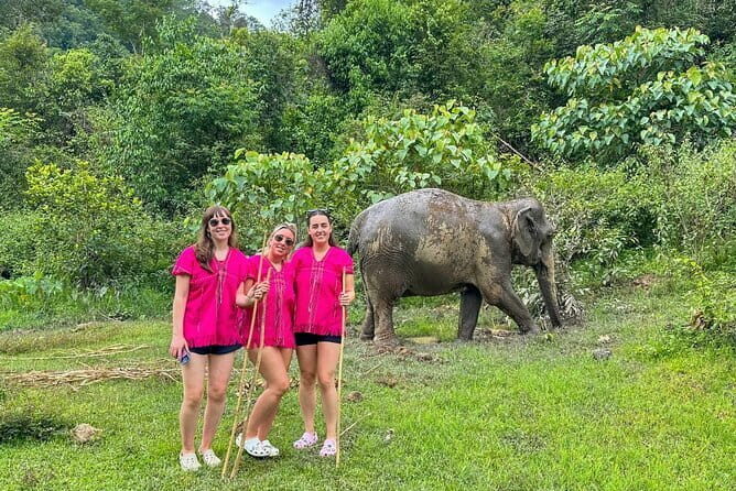 Chiang Mai Elephant Sanctuary Observation and Bamboo Rafting - Practical Details and What to Expect