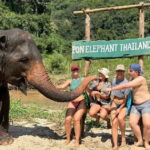 Chiang Mai: Elephant Sanctuary, Waterfall & Bamboo Rafting - What Makes This Tour Stand Out?