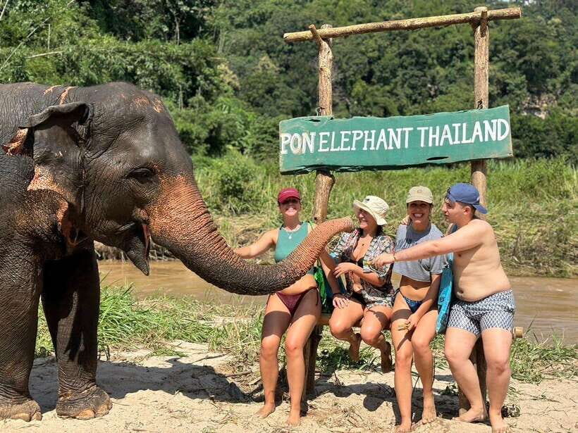 Chiang Mai: Elephant Sanctuary, Waterfall & Bamboo Rafting - What Makes This Tour Stand Out?