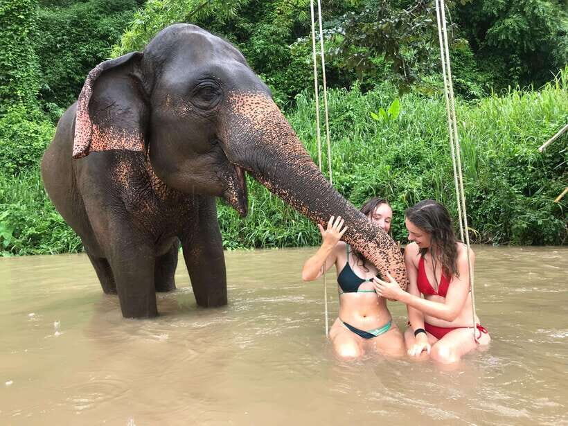Chiang Mai: Elephant Sanctuary & Waterfall Group Tour - Authentic Experiences and Honest Insights