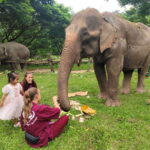 Chiang Mai: Elephants, Sticky Waterfalls, Market and Temple - Exploring the Hidden Temple
