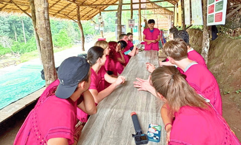 Chiang Mai: Ethical Half Day Elephant Sanctuary & Waterfall - Authentic Experiences & Real Reviews