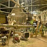Chiang Mai farming and Khao Soy - A Closer Look at the Tour Experience