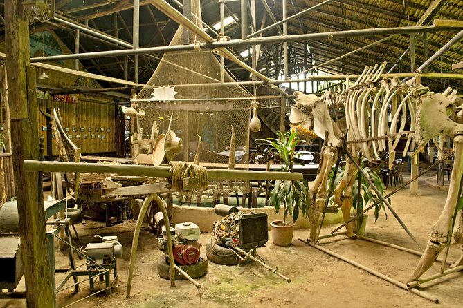 Chiang Mai farming and Khao Soy - A Closer Look at the Tour Experience