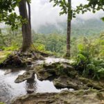 Chiang Mai Half Day Tour: Sticky Waterfall & Hotel Transfer - The Itinerary: What to Expect