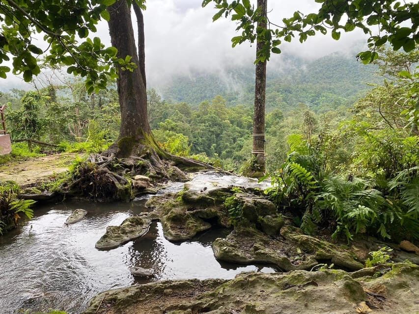 Chiang Mai Half Day Tour: Sticky Waterfall & Hotel Transfer - The Itinerary: What to Expect